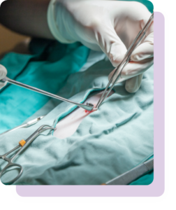 Products and Services - Veterinary Instrumentation