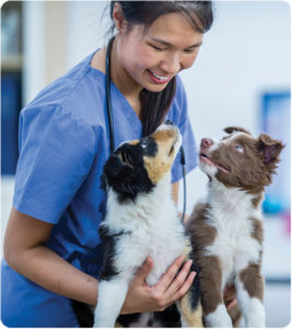 Veterinarian Professional Development | Veterinary Instrumentation